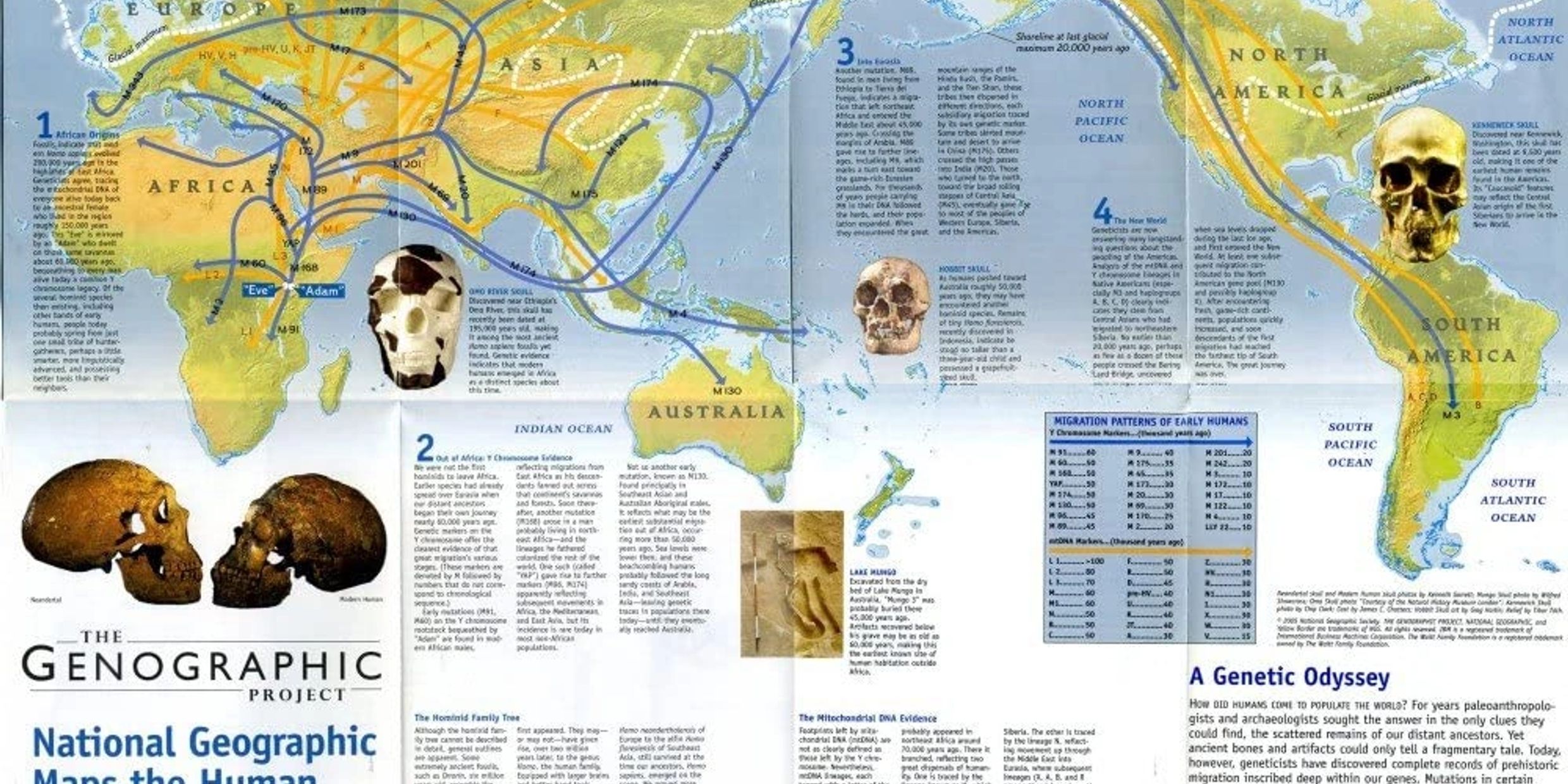 Prehistoric Human Migration - Chesapeake Forum
