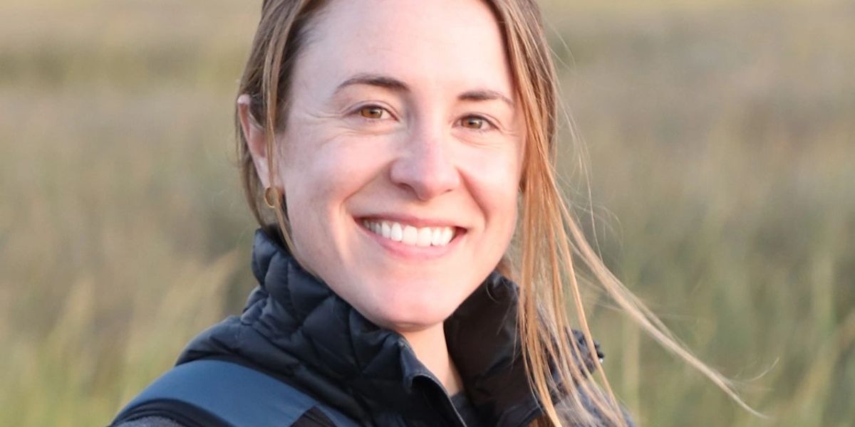 Chesapeake Crabs: The Story of the Bay’s Most Iconic Seafood ...