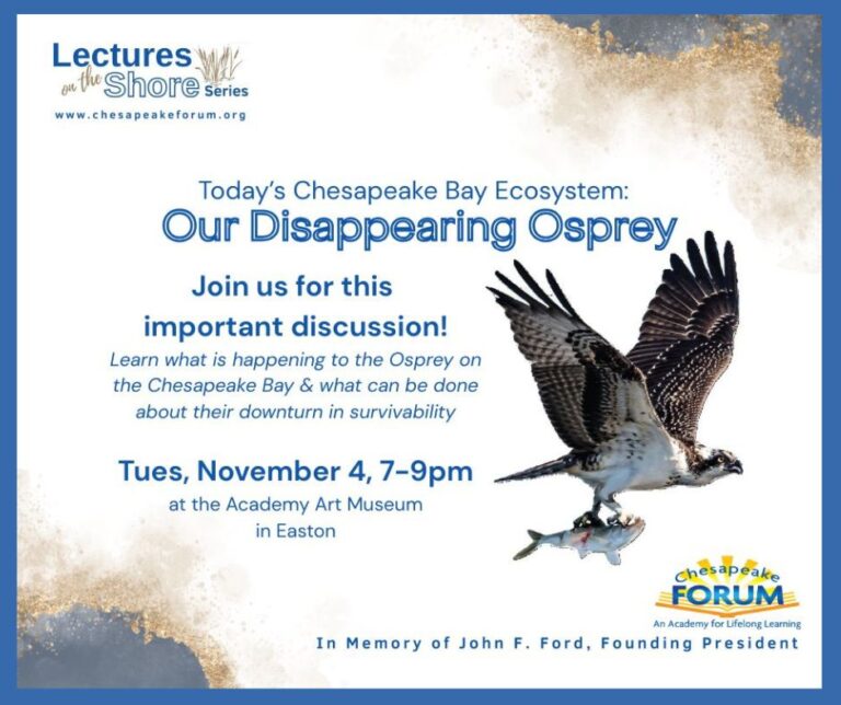 Explore Our Lifelong Learning Community - Chesapeake Forum